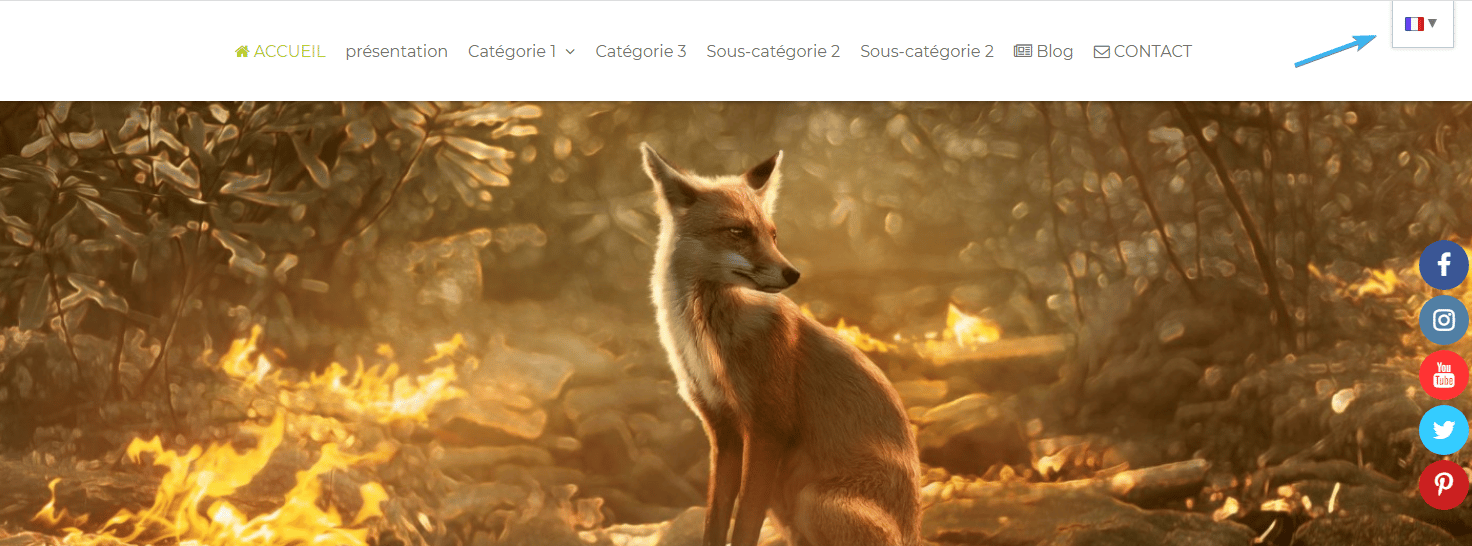 Intégrer Google Traduction à son site - CmonSite